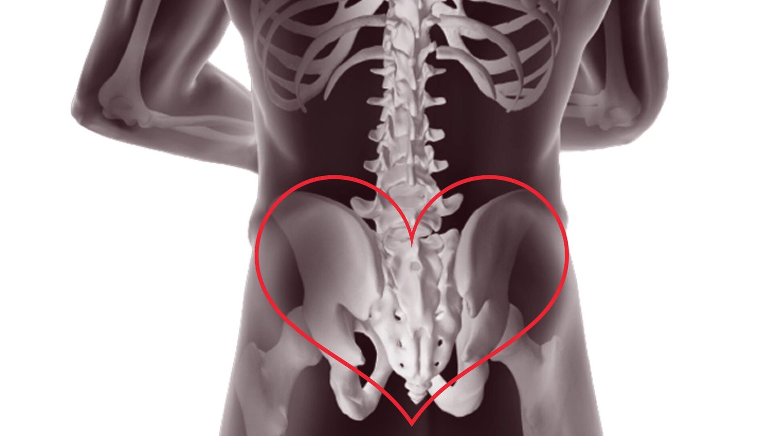 5 Reasons Your Pelvis Holds the Secret to a Healthy Spine – Pilates and ...
